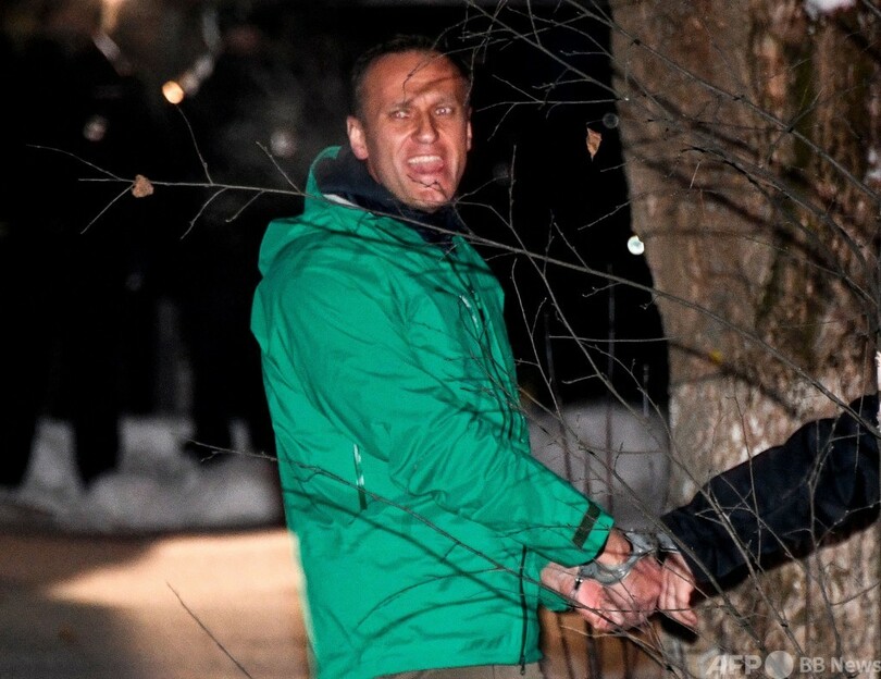ロシアナワリヌイ氏を30日間勾留へ 写真6枚 国際ニュースAFPBB News