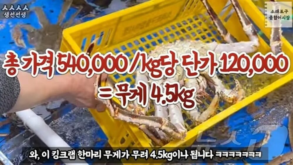 韓国・仁川の市場「ぼったくり批判・謝罪」後も不正商法…行政処分150件 写真枚 国際ニュース：AFPBB News