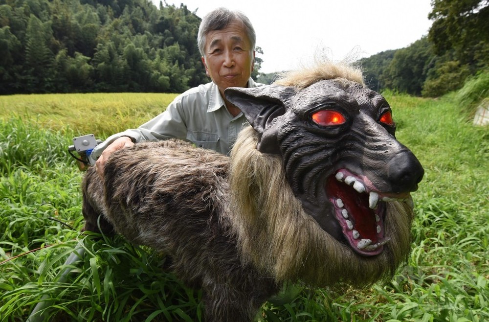 害獣対策ロボ「スーパーモンスターウルフ」 千葉 写真6枚 国際ニュース：AFPBB News