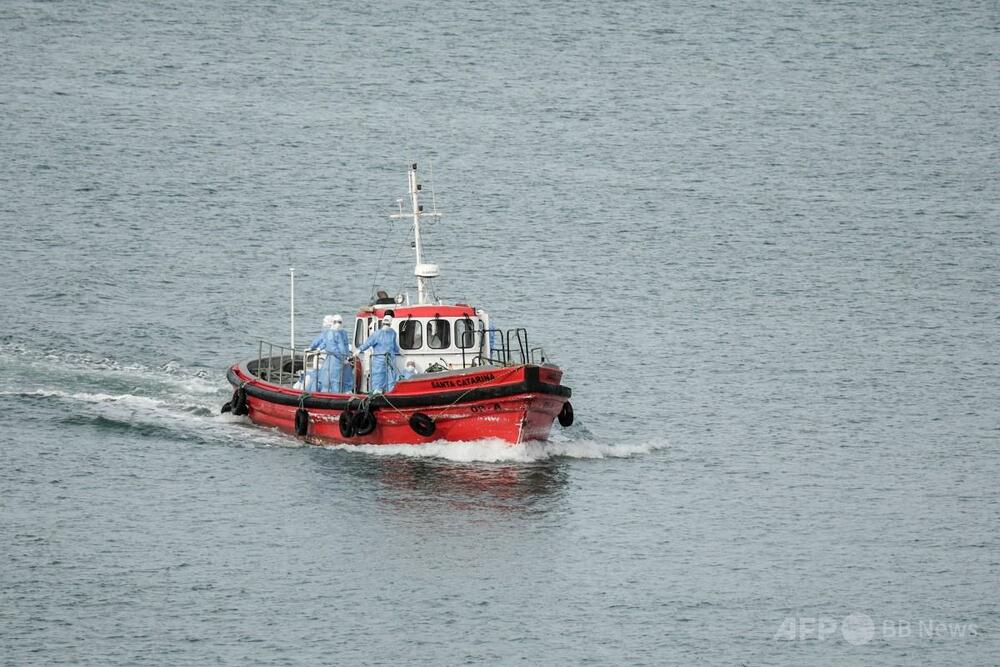 WHO、ハンタウイルス感染者像警告も 流行は「限定的にとどまる」 写真1枚 国際ニュース：AFPBB News