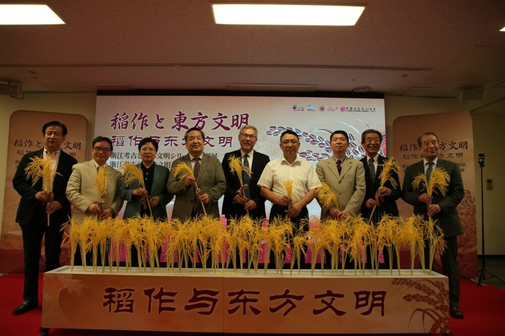 稲作の起源と文明交流をひも解く特別展、東京で開幕 写真3枚 国際ニュース：AFPBB News