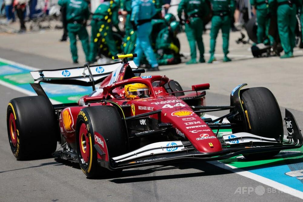 ハミルトン、レース中に小動物ひいて傷心 カナダGP 写真1枚 国際ニュース：AFPBB News