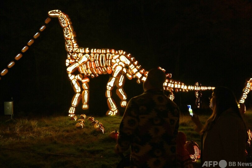 イルミって略すのやめろ [399583221]