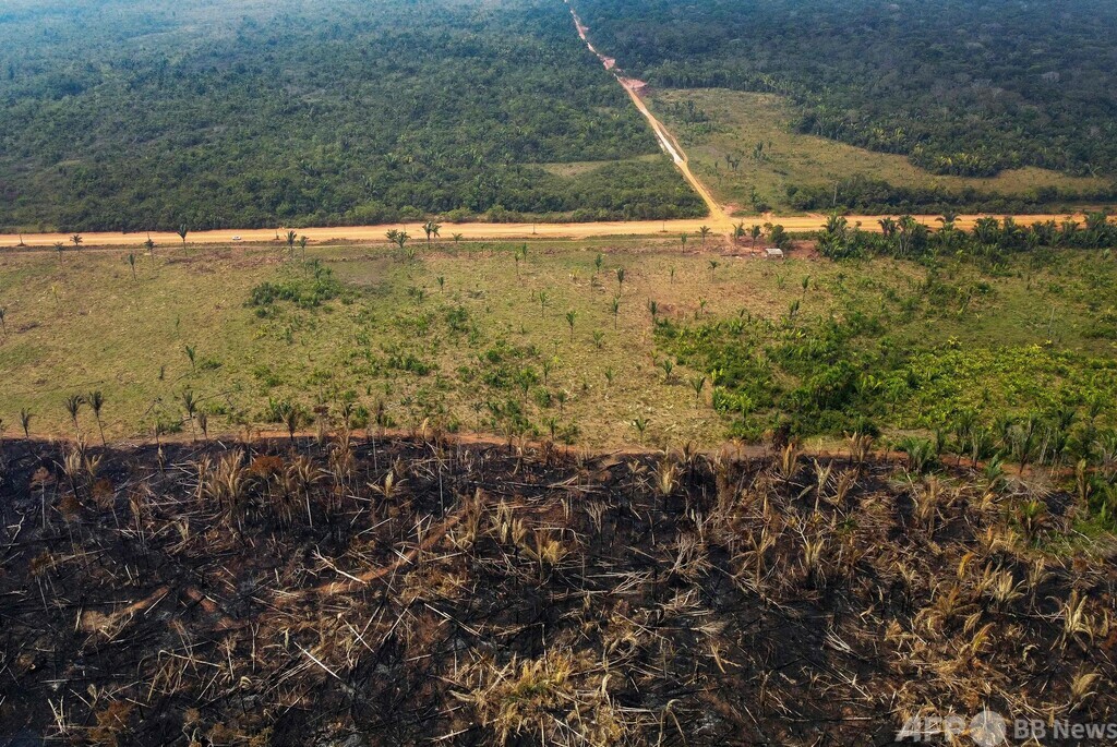 アマゾン森林火災、9月前半に記録的増加率 1日平均1400件 写真13枚 国際ニュース：AFPBB News