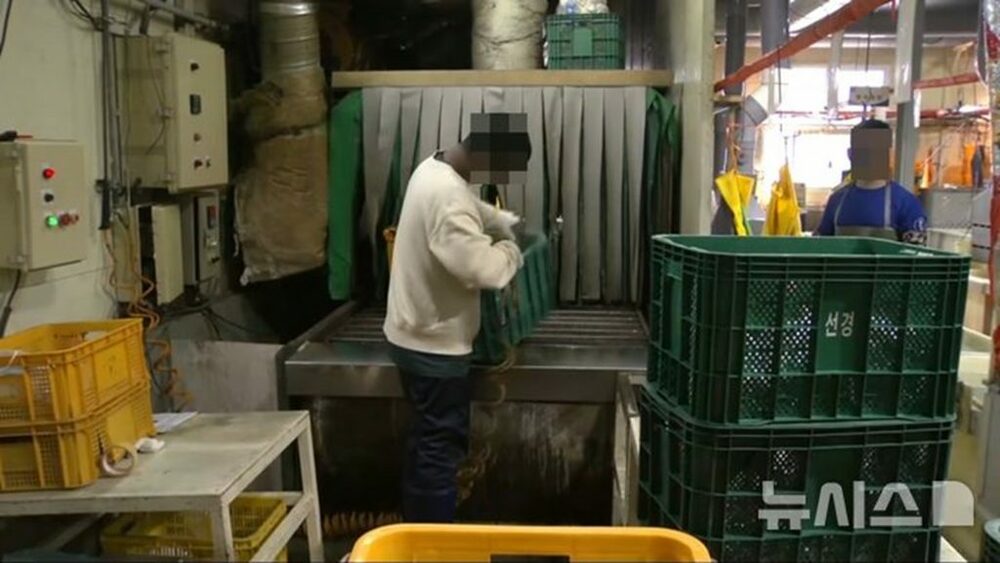 韓国・工場で外国人労働者にエアガン、60代業者代表を特殊傷害などで起訴 写真枚 国際ニュース：AFPBB News