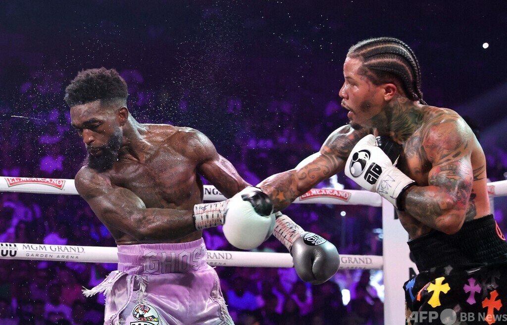 デービスがWBAライト級タイトル防衛 マーティンを8回KO 写真2枚 国際ニュース：AFPBB News