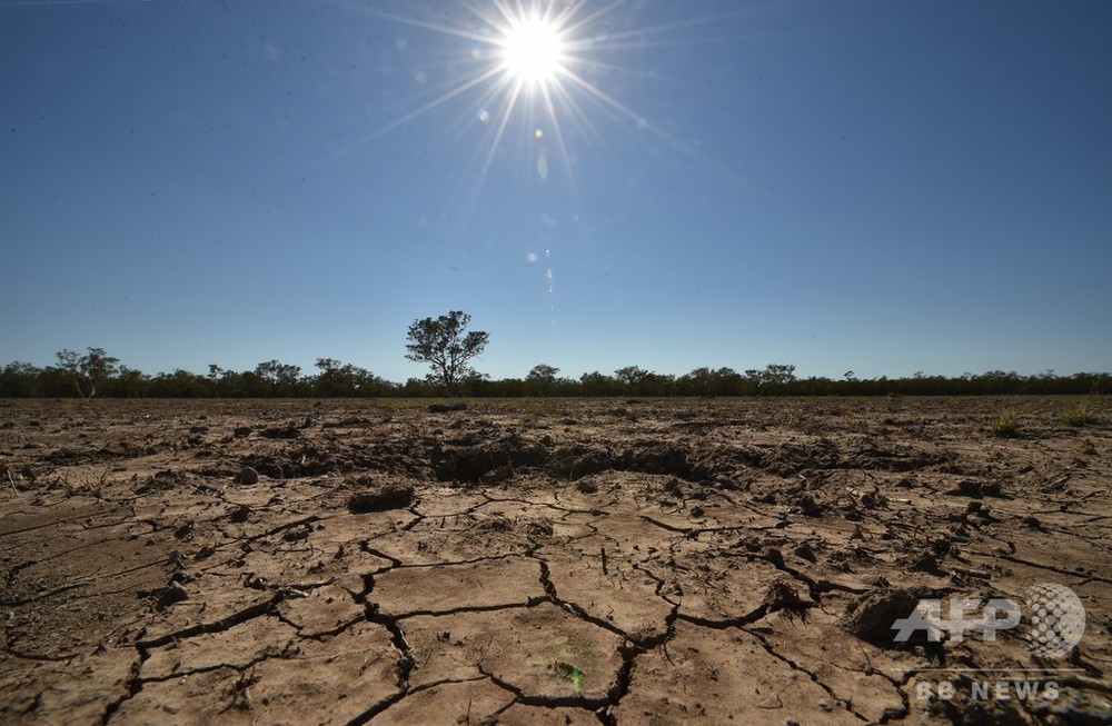 気候変動が世界の食糧供給の脅威に 研究 写真1枚 国際ニュース：AFPBB News