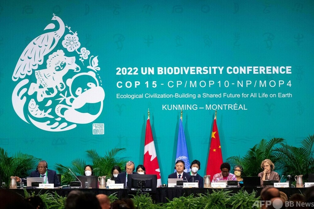 COP15、生物多様性の回復目指す歴史的な目標を採択 写真7枚 国際ニュース：AFPBB News