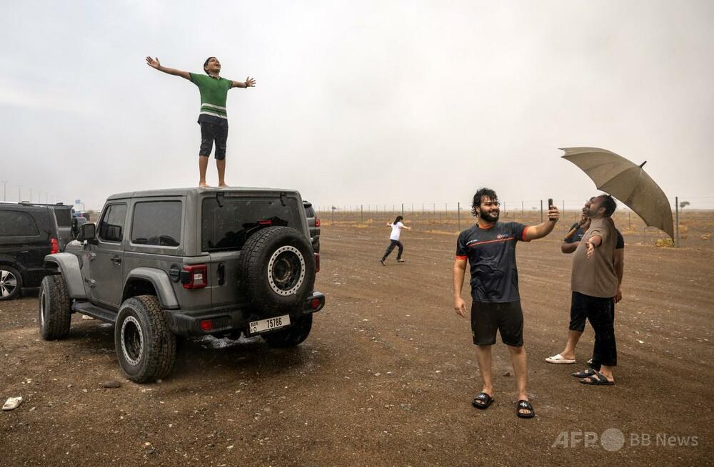 モンスーン愛するインド人、異国の砂漠で雨を追う UAE 写真17枚 国際ニュース：AFPBB News