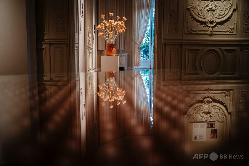 豪華なチョコレートのアート作品、総額1950万円で落札 写真26枚 国際ニュース：AFPBB News