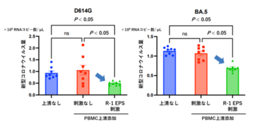OLL1073R-1株が作り出す多糖体「R-1 EPS」が、 新型コロナウイルスの増殖を抑制することを細胞試験で確認 写真1枚 国際ニュース：AFPBB News