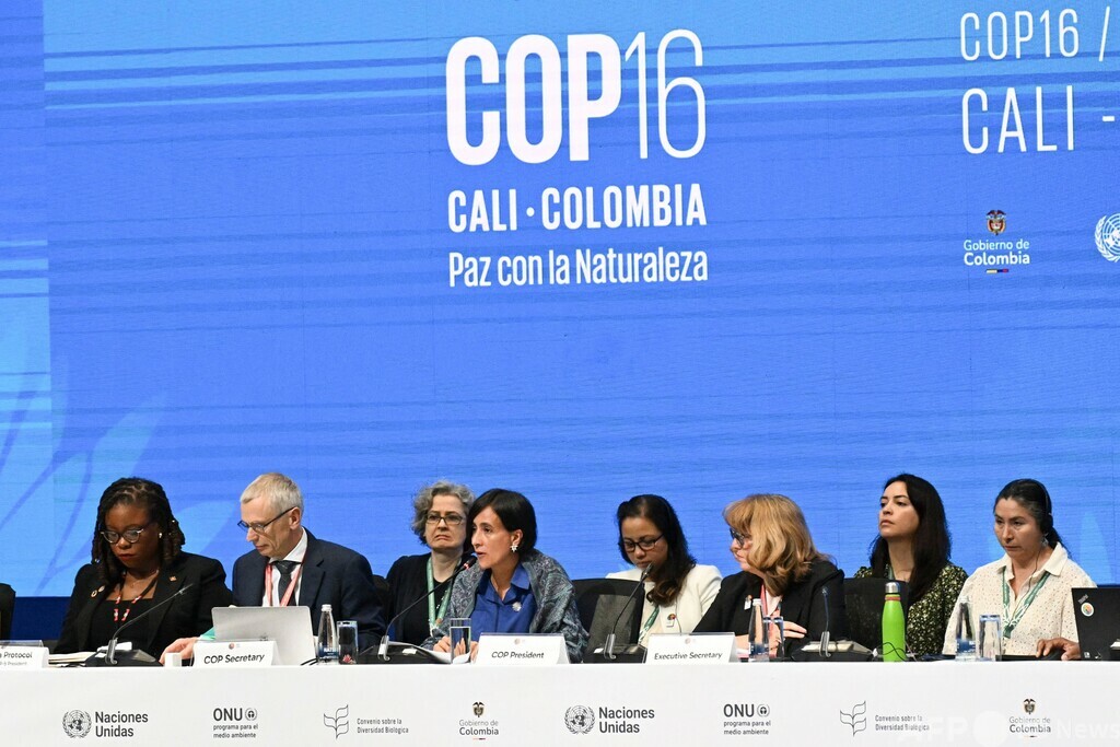 生物多様性COP16、コロンビア・カリで開幕 写真8枚 国際ニュース：AFPBB News
