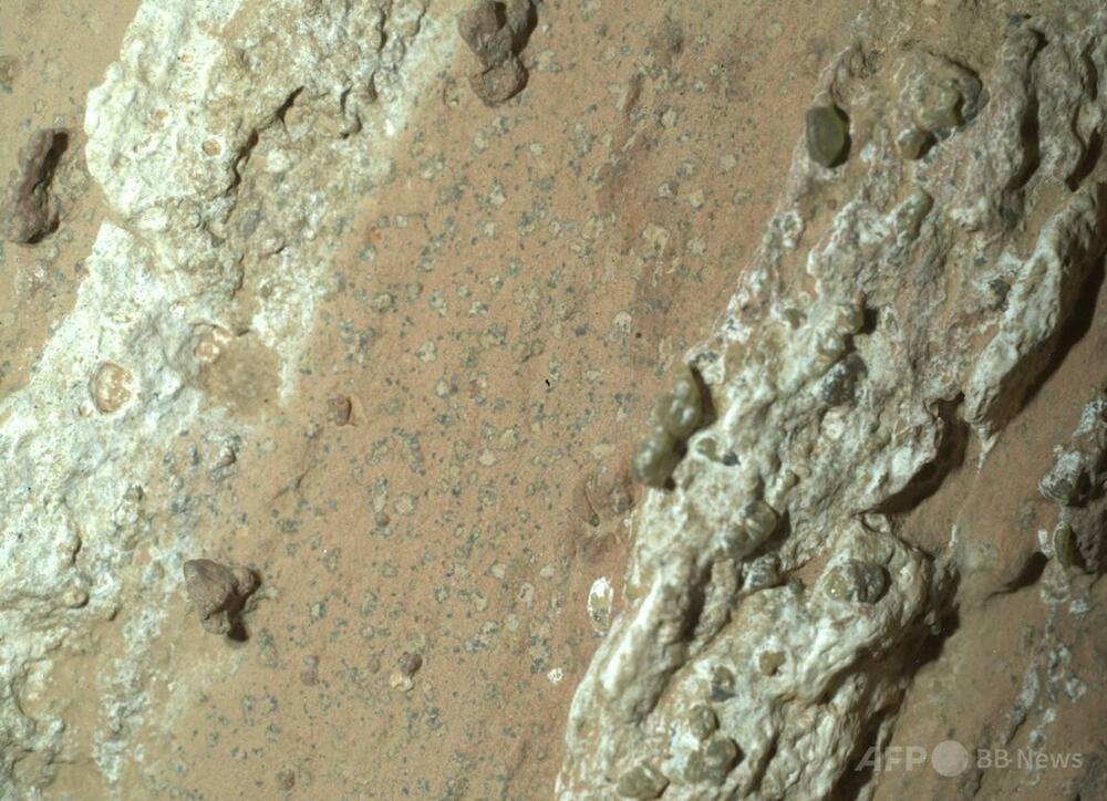 火星の岩石に古代生命の痕跡か NASA「有望な証拠を発見」 写真1枚 国際ニュース：AFPBB News