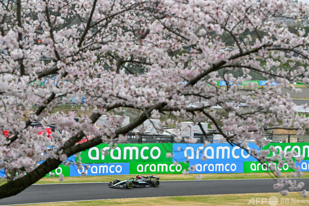 F1 Japanese Grand Prix opens among cherry blossoms 写真10枚 国際ニュース：AFPBB News