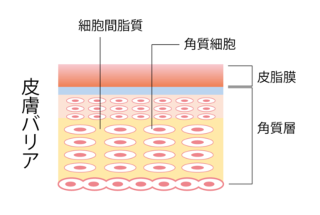 皮膚本来のバリア機能を修復する、先駆的なイノベーション 新しい敏感肌用化粧品シリーズ「TaKuMin」 写真1枚 国際ニュース：AFPBB News
