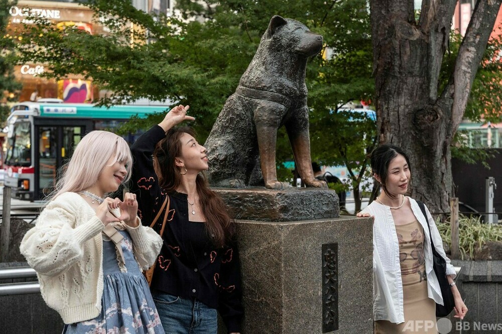 Japan's ever-faithful dog turns 100 写真10枚 国際ニュース：AFPBB News