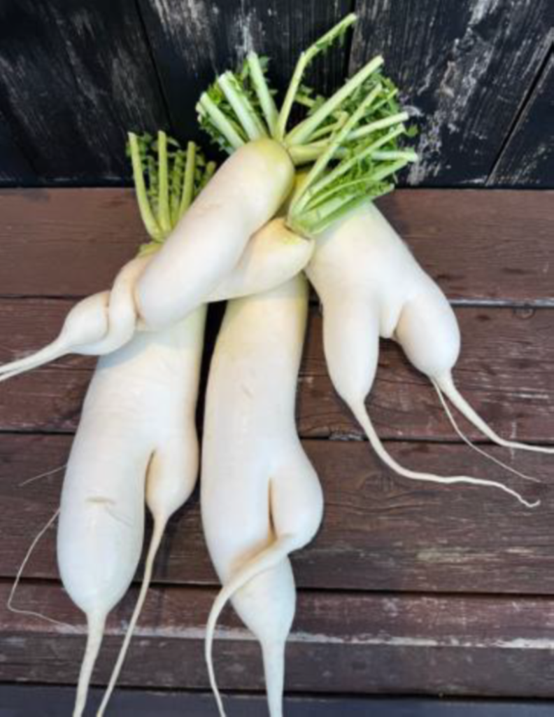 （三崎観光）規格外のやさいを使用した『大根梅ゆずピクルス』新発売！ 写真1枚 国際ニュース：AFPBB News