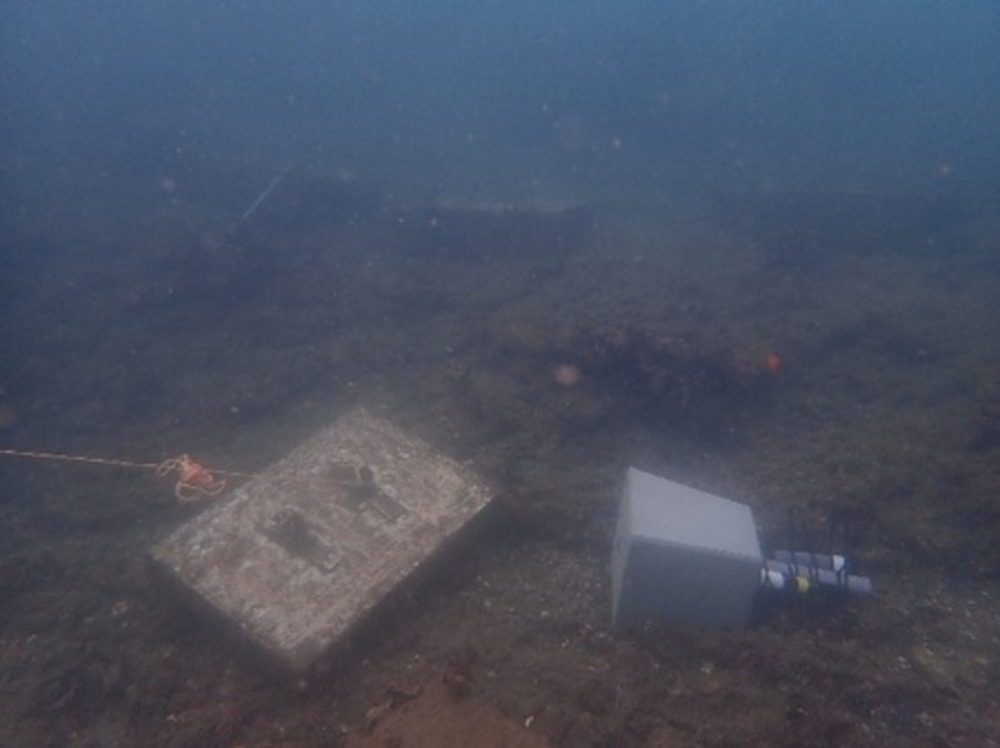 セルロースを活用した藻場造成の実証試験 散布効果により藻場再生に有効性 写真1枚 国際ニュース：AFPBB News