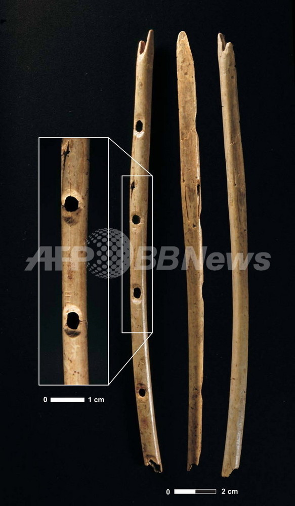 世界最古の楽器か、石器時代の「フルート」を発掘 ドイツ 写真10枚 国際ニュース：AFPBB News