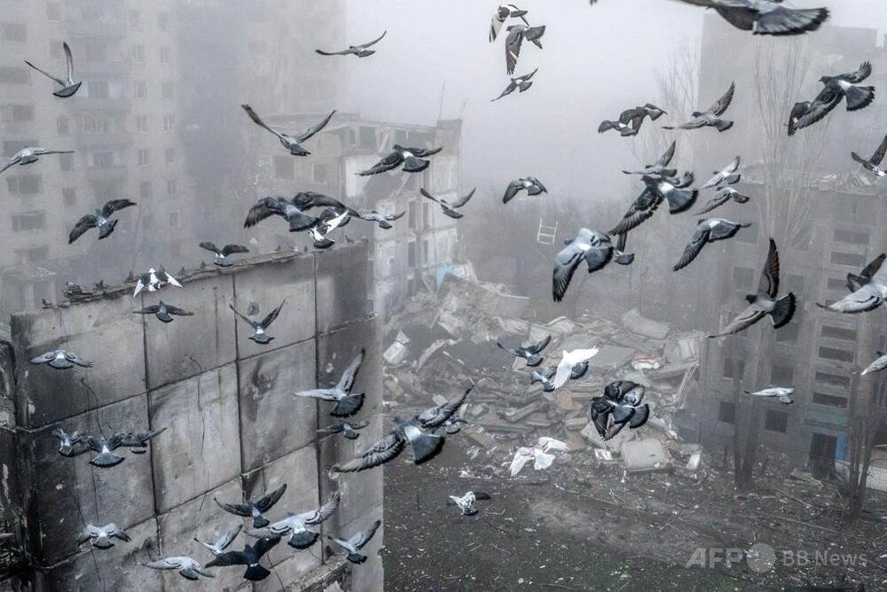 ロシアとの戦争リスク、EU市民の過半数が「高い」と認識 世論調査 写真4枚 国際ニュース：AFPBB News