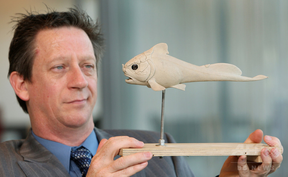 「体内受精」の性行為、3億8500万年前に始まった 研究 写真1枚 国際ニュース：AFPBB News