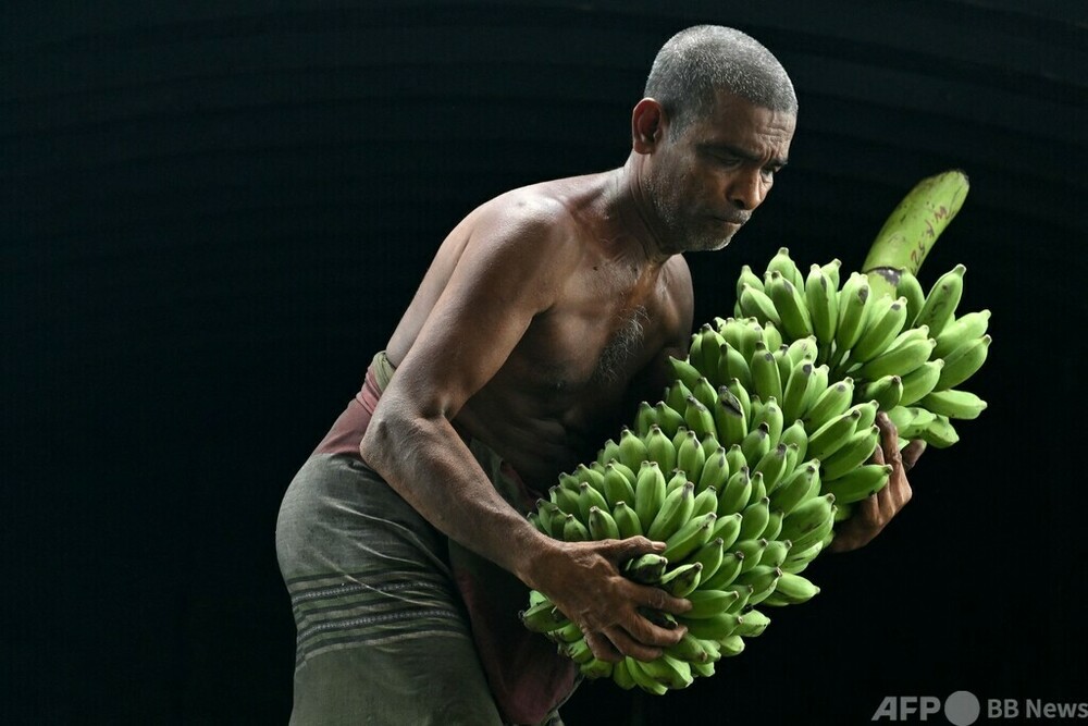 【今日の1枚】大切なバナナを市場に スリランカ 写真3枚 国際ニュース：AFPBB News