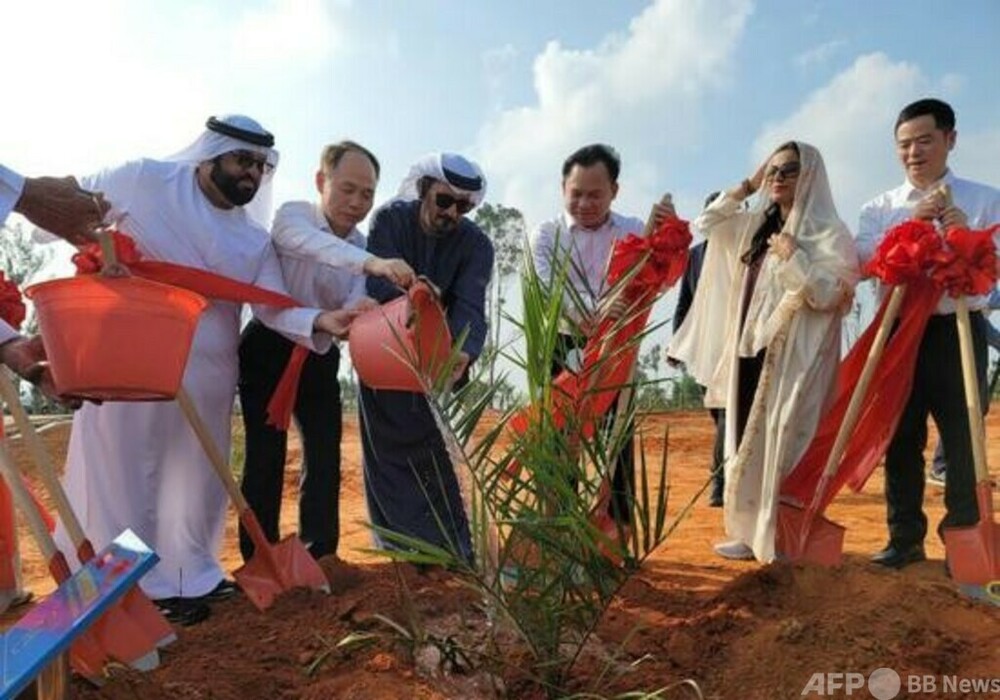 UAE、中国にナツメヤシの苗木2万3500本を寄贈 写真1枚 国際ニュース：AFPBB News