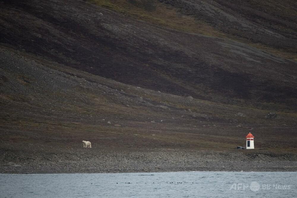 北極圏ツンドラ、CO2排出が吸収上回る NOAA報告 写真3枚 国際ニュース：AFPBB News