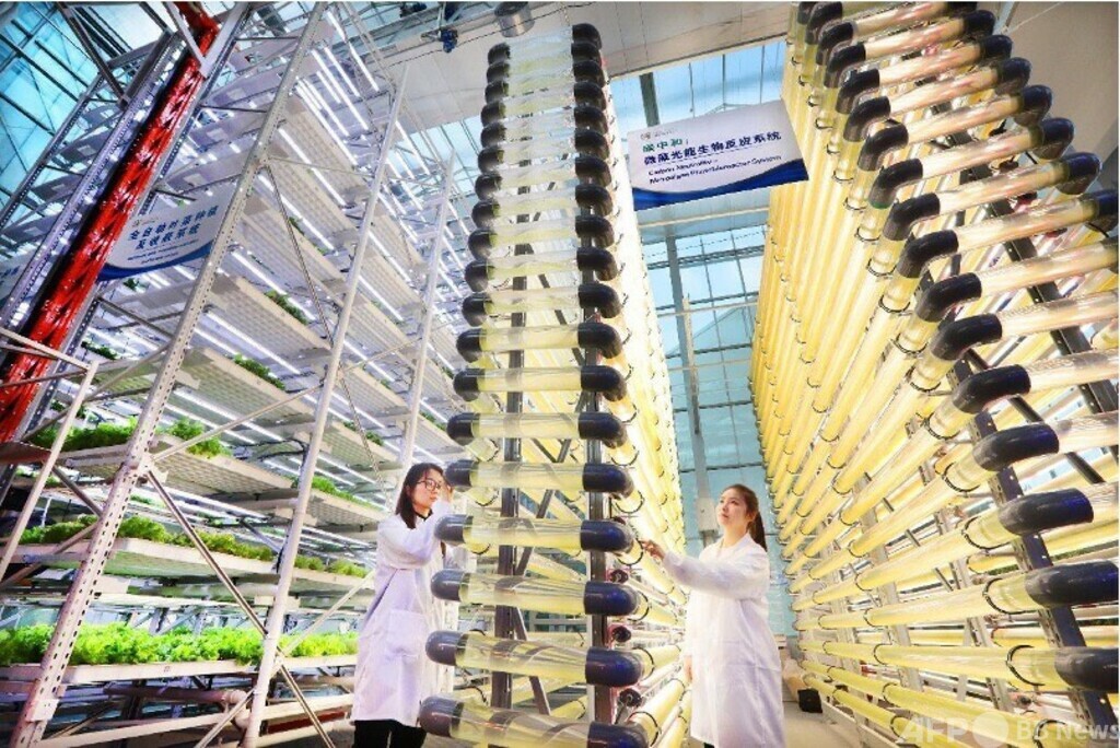中国バイオエコノミーの規模は新たな段階に入る 写真1枚 国際ニュース：AFPBB News