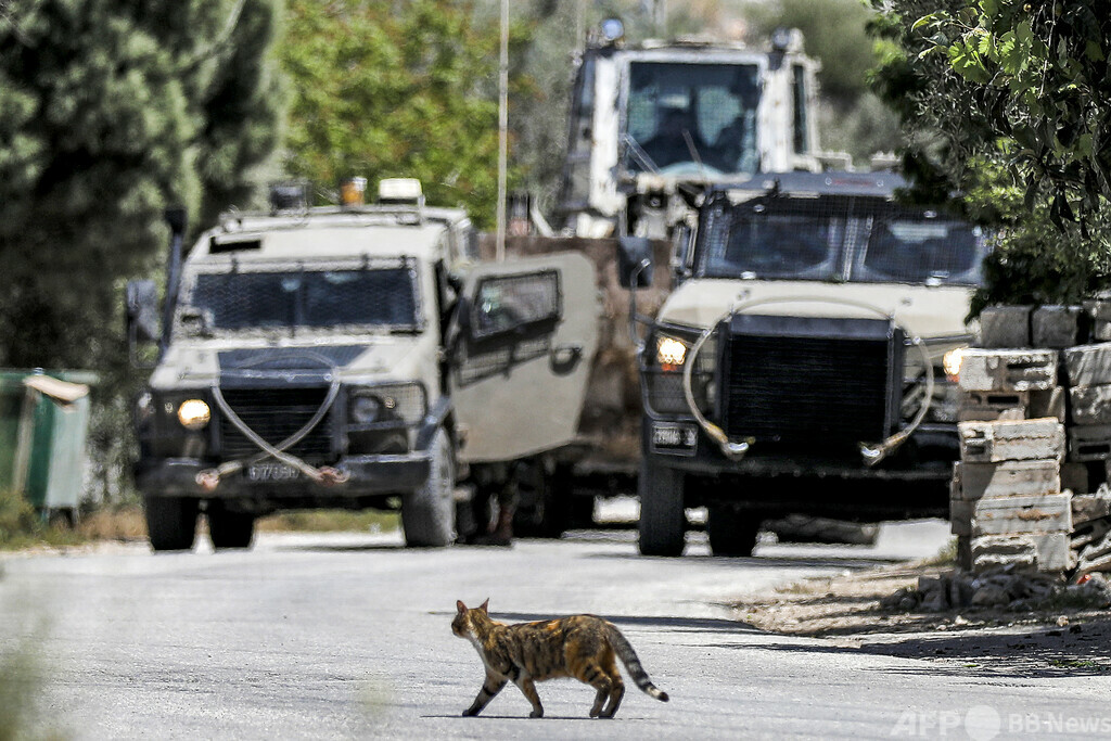 いい歳して本気で遊んでるおっさんの魅力 [377482965]