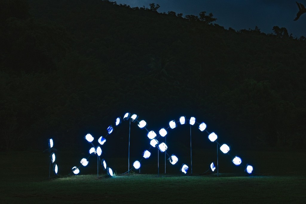 2023台東ライト・フェスティバル《知本に還る》で光を追おう！ 写真1枚 国際ニュース：AFPBB News