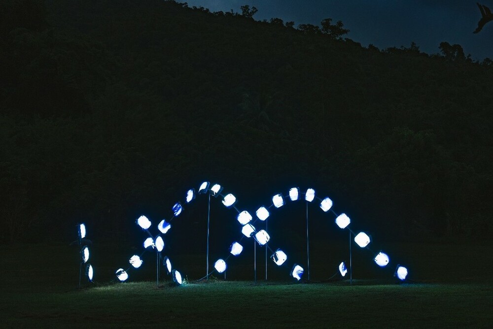 2023台東ライト・フェスティバル《知本に還る》で光を追おう！ 写真1枚 国際ニュース：AFPBB News