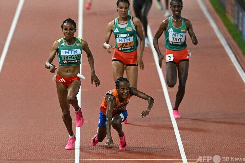 ツェガイが女子1万m制覇 ハッサンがゴール目前で転倒 世界陸上 写真10枚 国際ニュース：AFPBB News